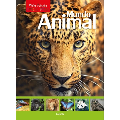 Minha Primeira Enciclopédia - Mundo Animal P-9786586096088 - Minha ...